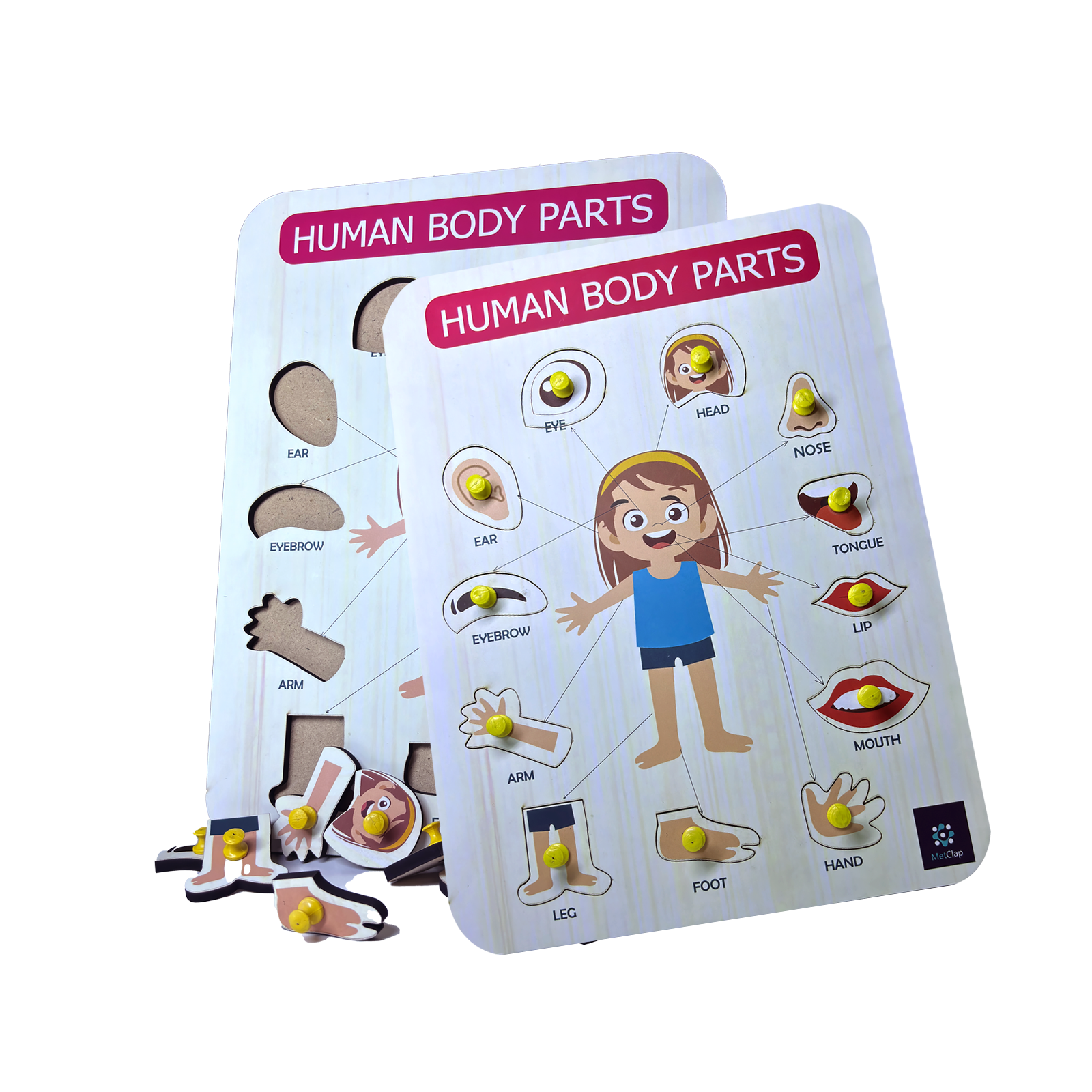 Metclap’s Body Parts Tray – Fun and Educational Games for Kids ...